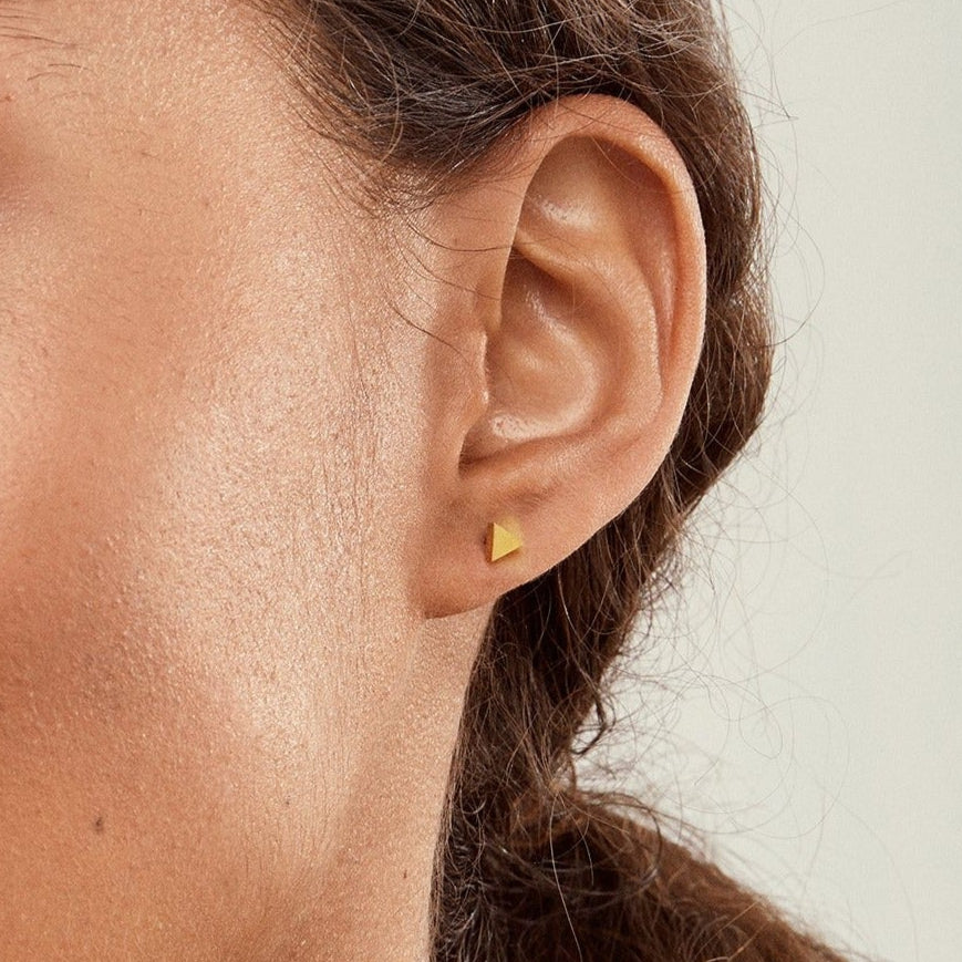 Virtual Ear Piercing Planner