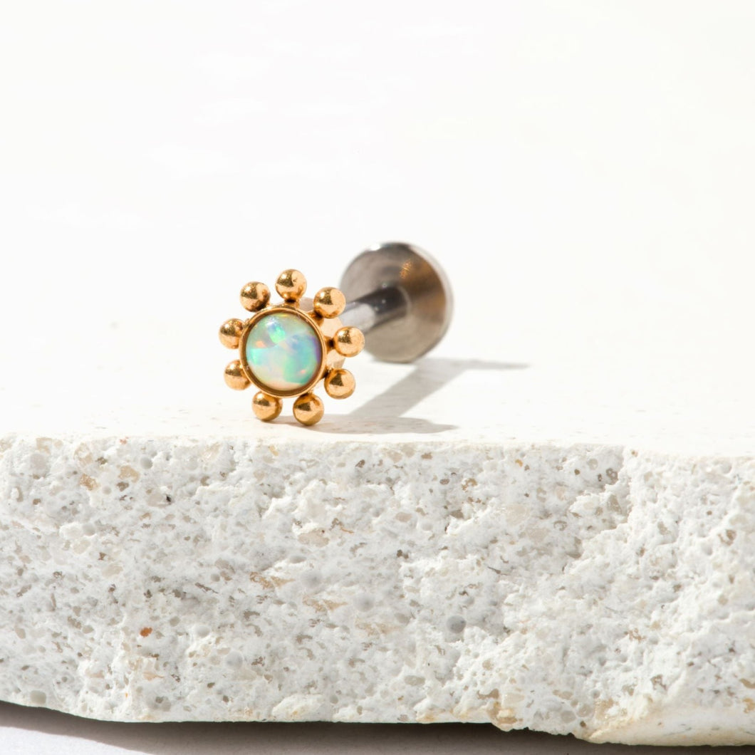 Titanium Flat Back Stud Earrings | Tini Lux